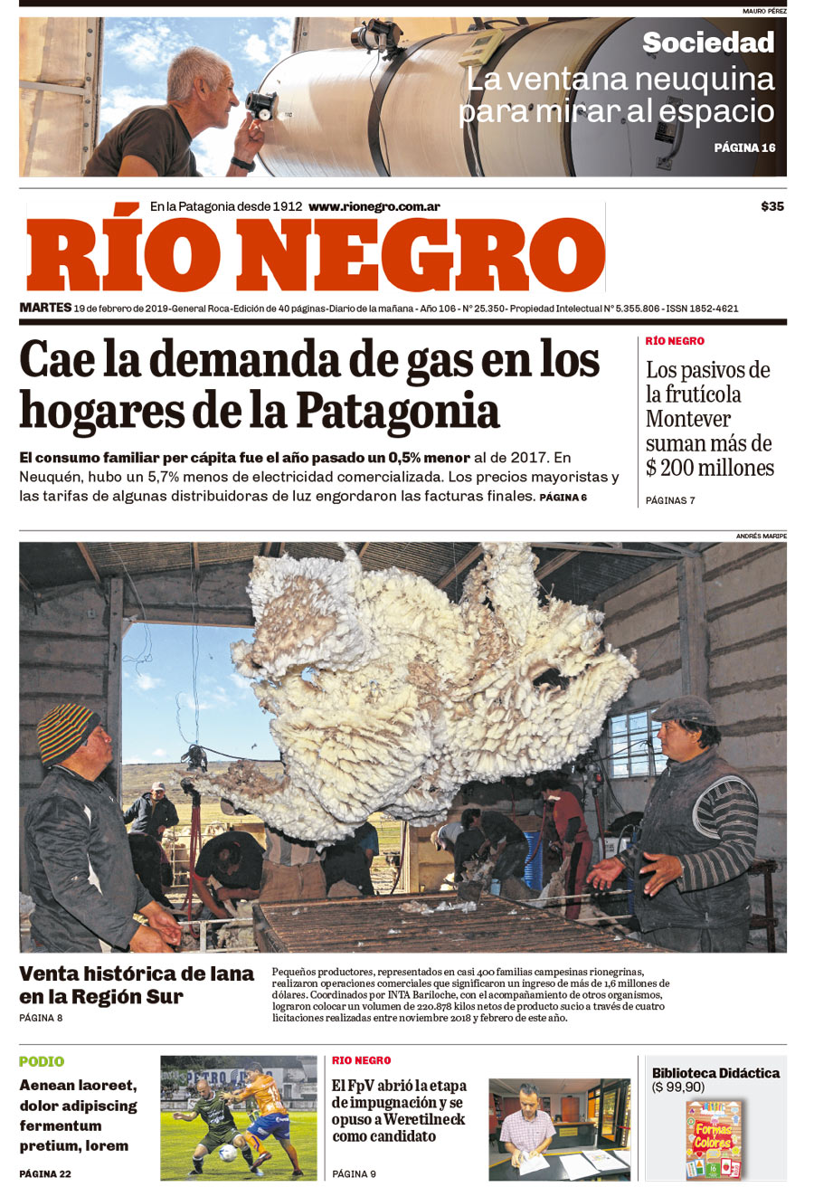 Tapas Diario Río Negro